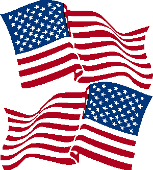 American Flag Wavy Decal Right & Left | Aircraft Spruce