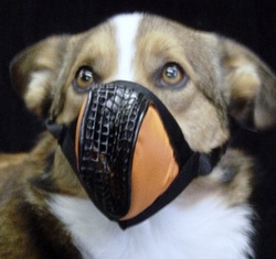 Aerox Pet Mask | Aircraft Spruce