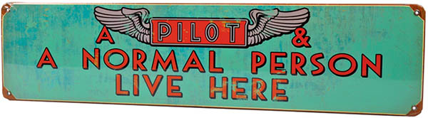 A Pilot And A Normal Person Metal Sign | Aircraft Spruce